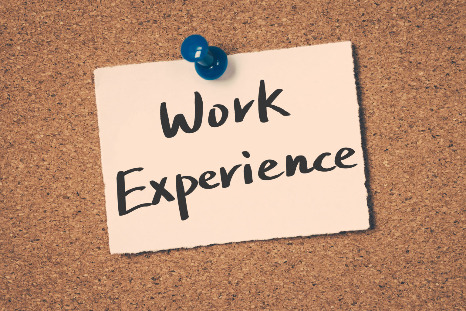 The benefits of offering work experience as an organisation - TrueHR